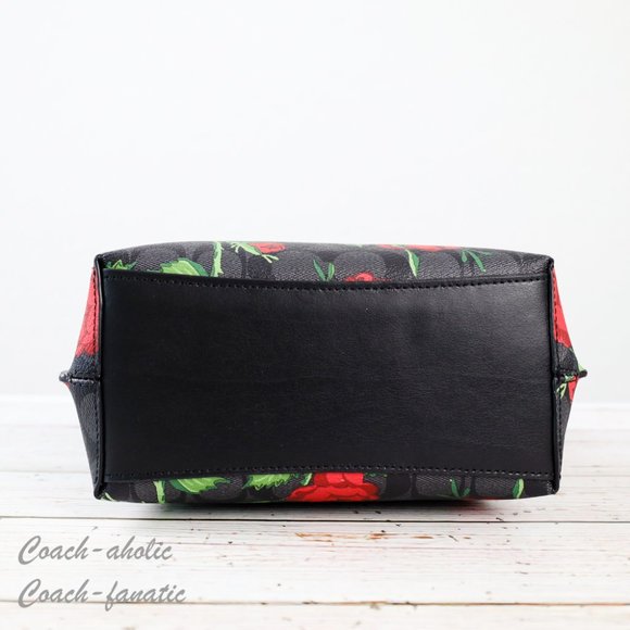 Coach | Bags | Nwt Coach Cc876 Mollie Bucket Bag 22 In Signature Canvas ...